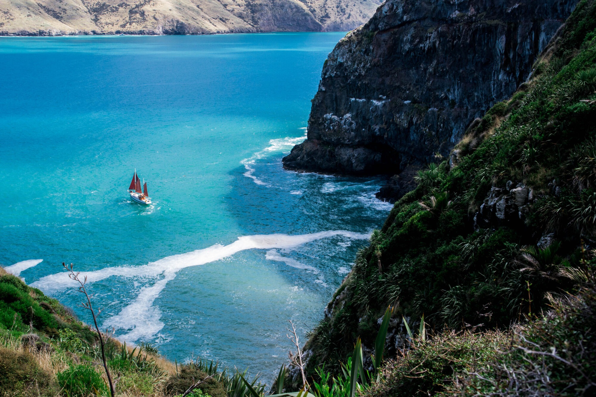 Akaroa Dolphin & Wildlife Sailing Tours - Fox II