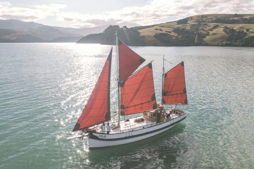 About - Fox Sailing Adventures & Wildlife Cruises